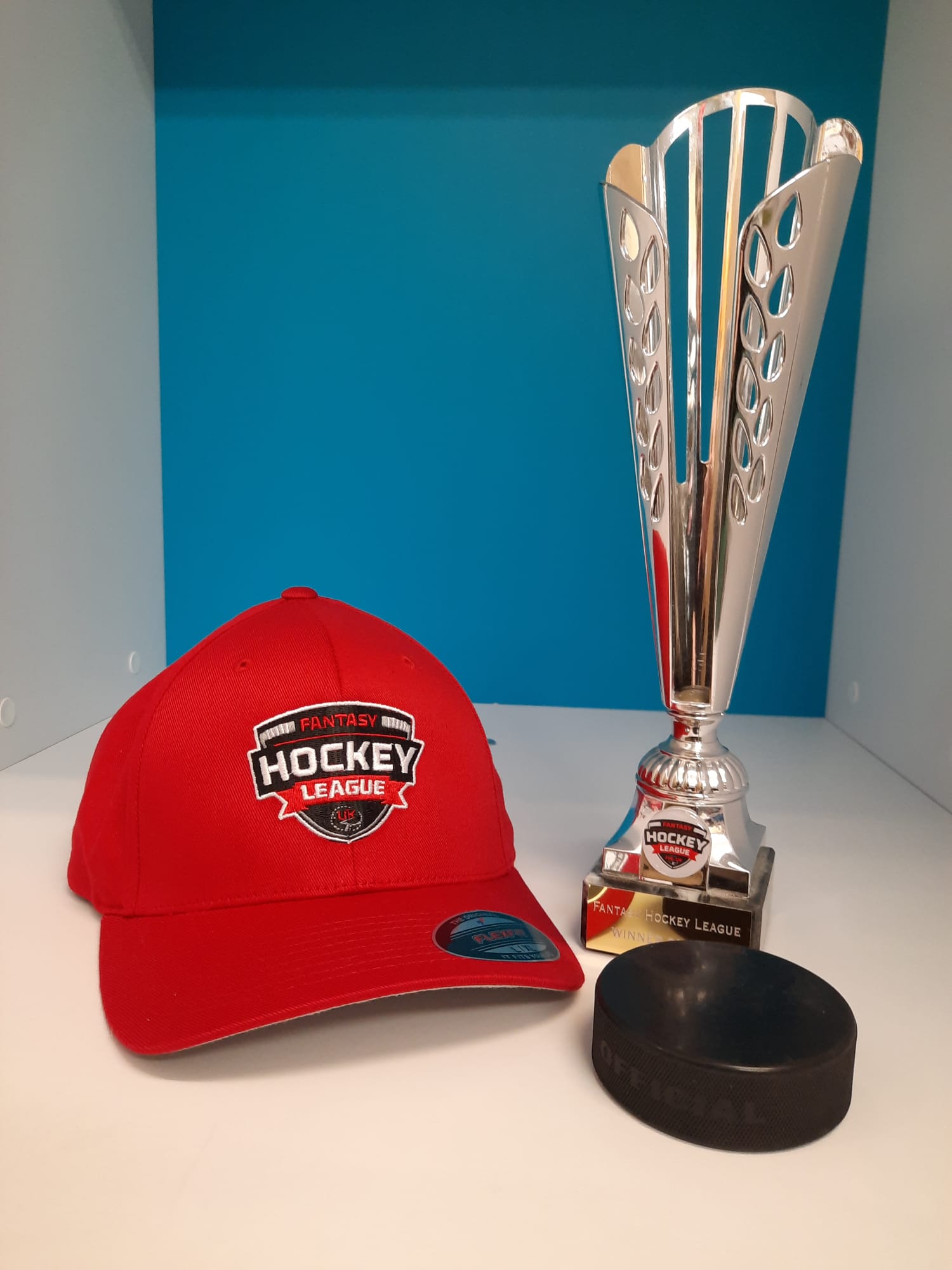 FHL UK LEAGUE OVERVIEW Fantasy Hockey League UK